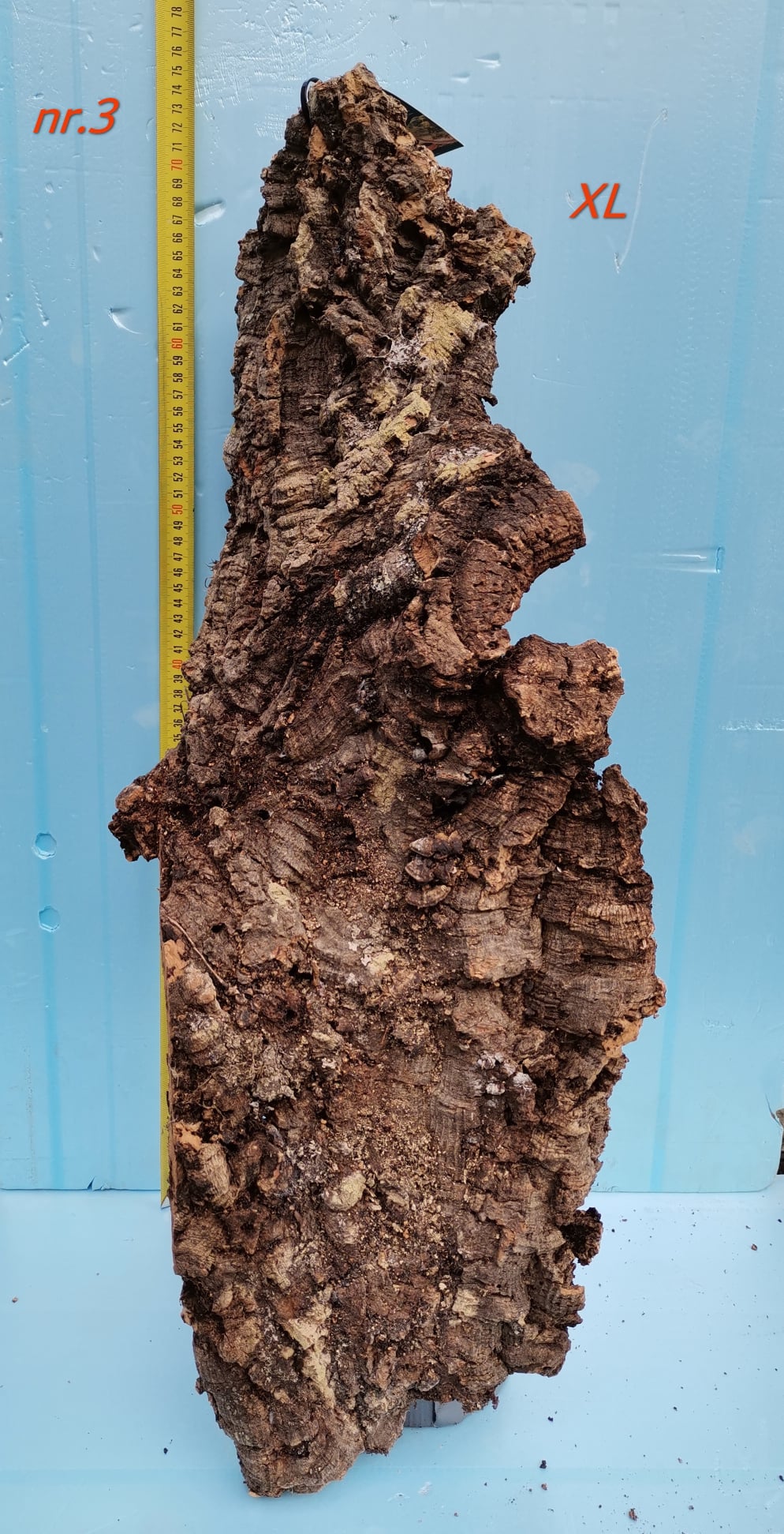 Cork Bark – zooexotika.ee